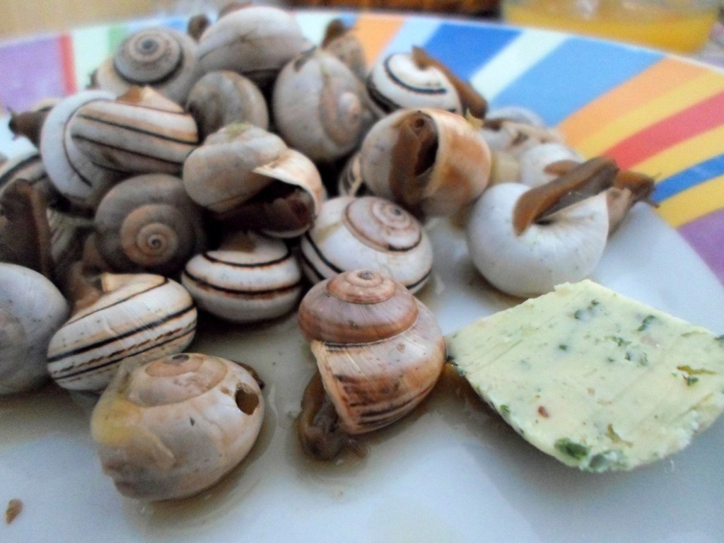 Caracóis à Jorge • Iguaria Receita e Culinária