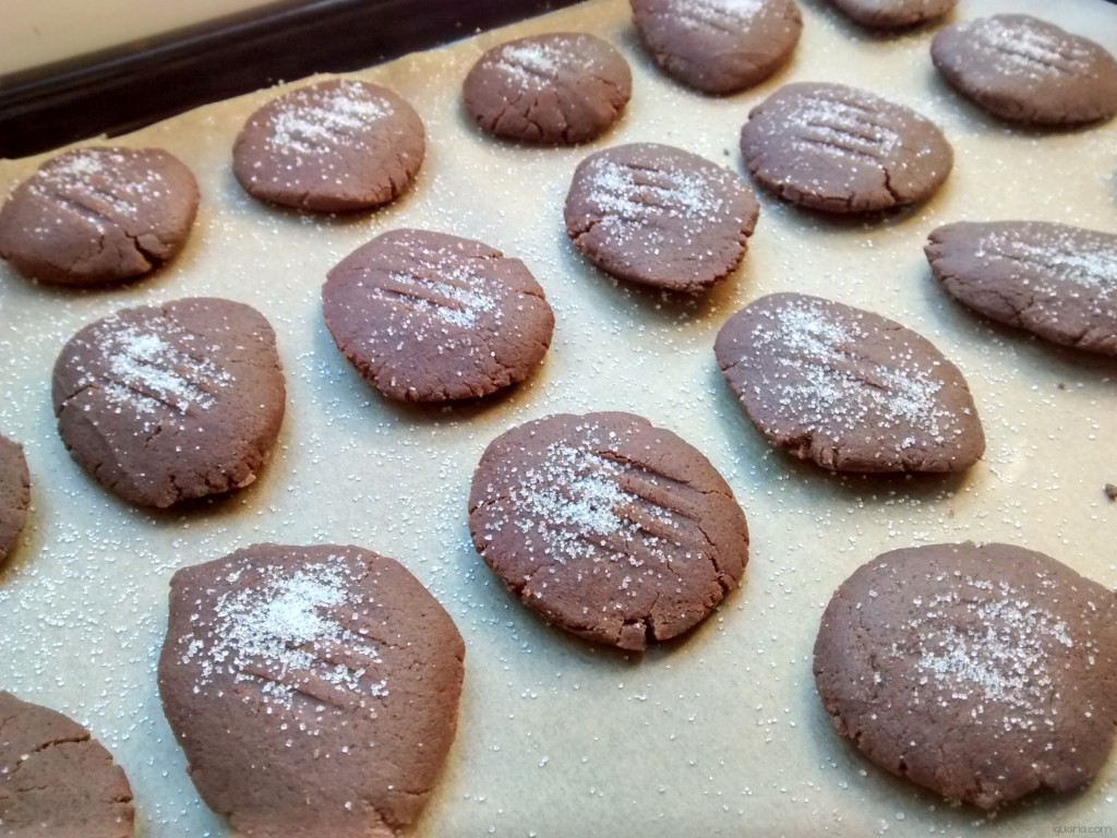 Biscoitos de Chocolate • Iguaria Receita e Culinária
