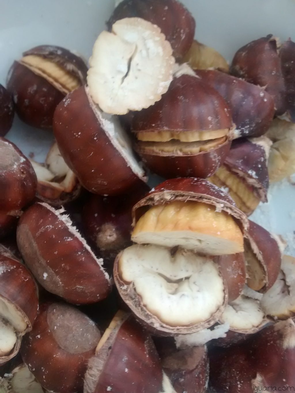 Castanhas Assadas • Iguaria Receita e Culinária