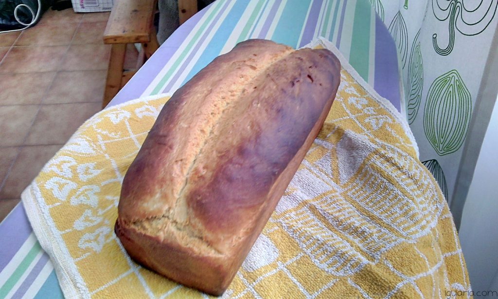 Pão de Forma Caseiro • Iguaria Receita e Culinária