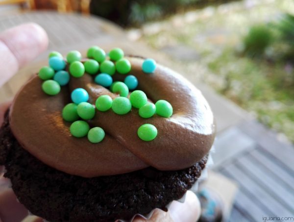 Queques Fofos de Chocolate • Iguaria Receita e Culinária