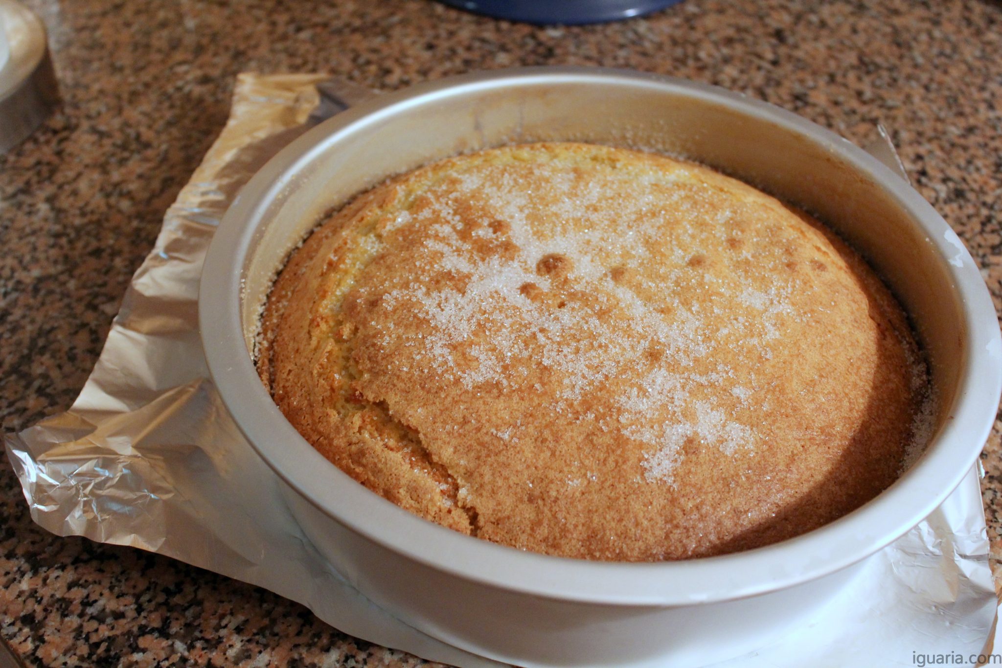 Bolo de Arroz Gigante • Iguaria Receita e Culinária