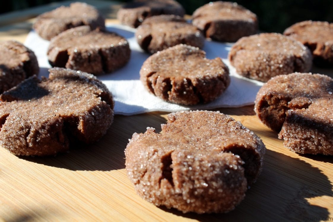 Receitas Rápidas de Biscoitos • Iguaria Receita e Culinária