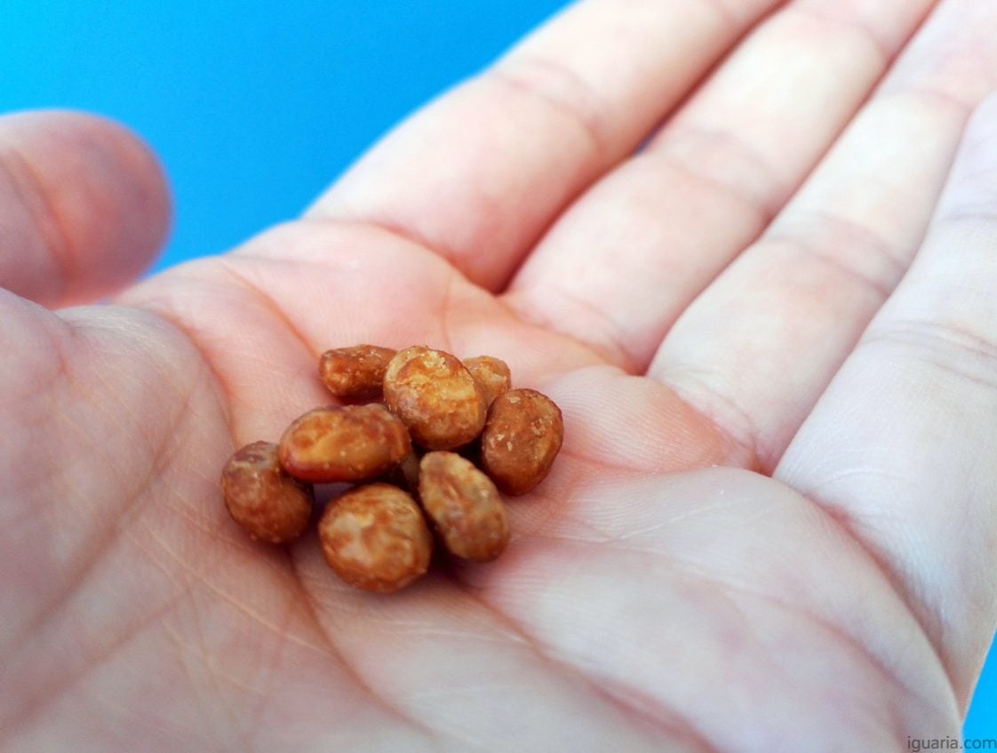 Snacks de Natto Liofilizado • Iguaria Receita e Culinária