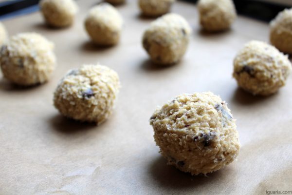 Biscoitos de Aveia e Chocolate • Iguaria Receita e Culinária