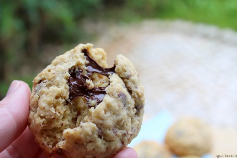 Biscoitos de Aveia e Chocolate • Iguaria Receita e Culinária