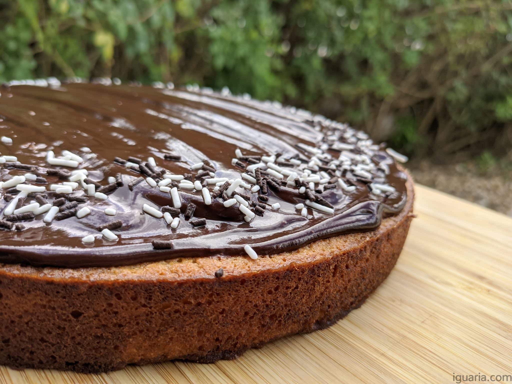 Bolo de Coco Coberto de Chocolate • Iguaria Receita e Culinária