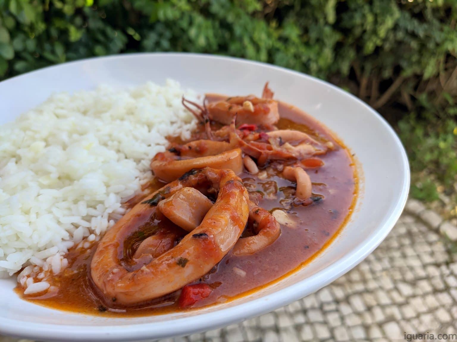 Lulas Guisadas à Portuguesa • Iguaria Receita e Culinária