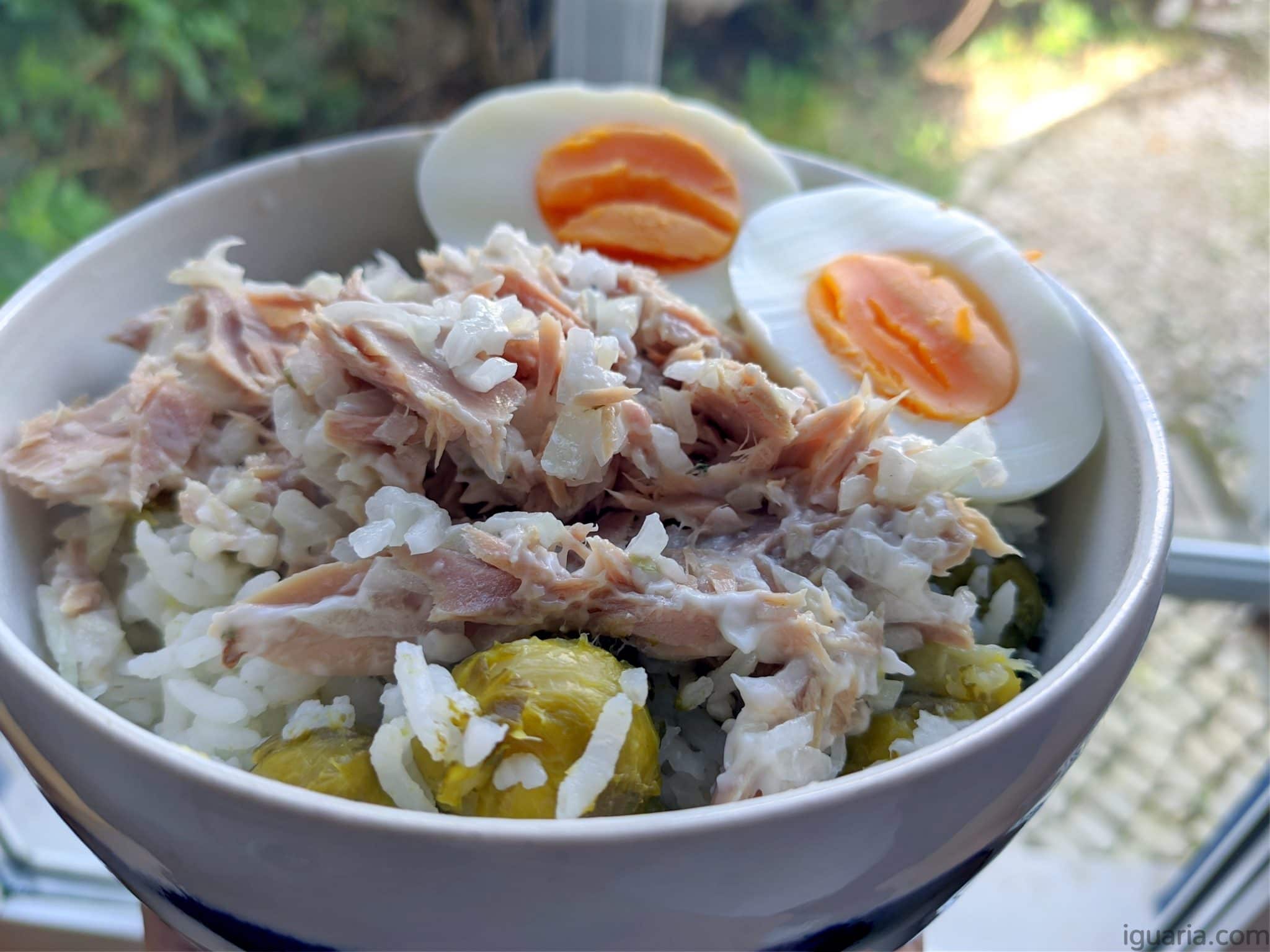 Top 10 Receitas de Atum de Lata • Iguaria Receita e Culinária