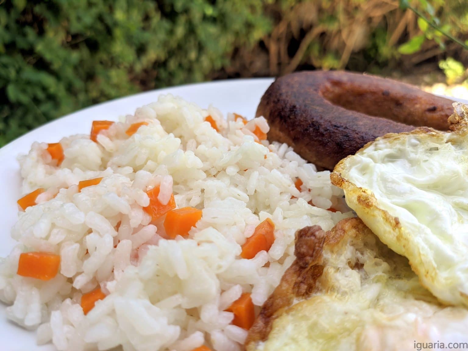 Alheira Frita de Trás-os-Montes • Iguaria Receita e Culinária