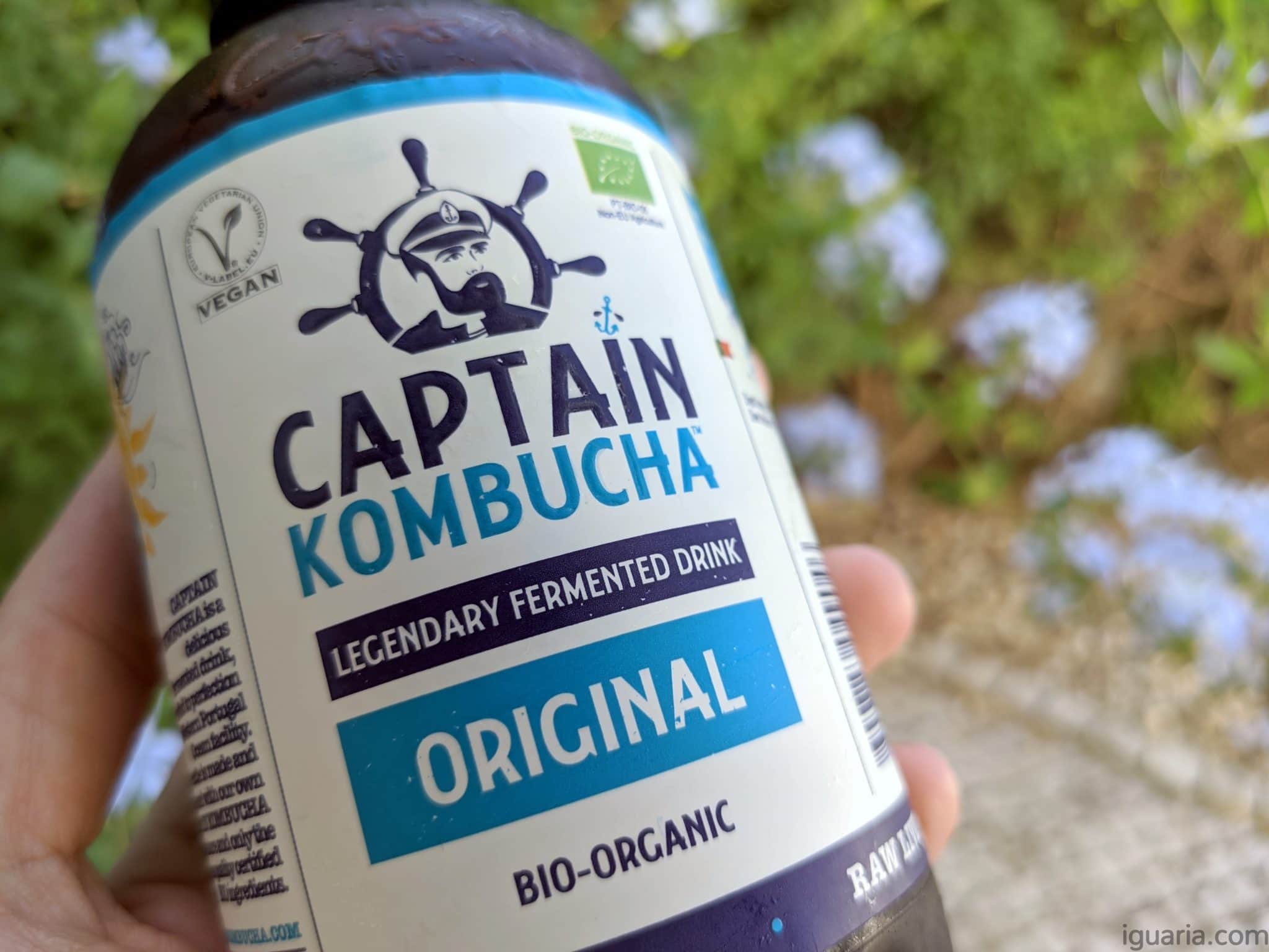 Captain Kombucha • Iguaria Receita e Culinária