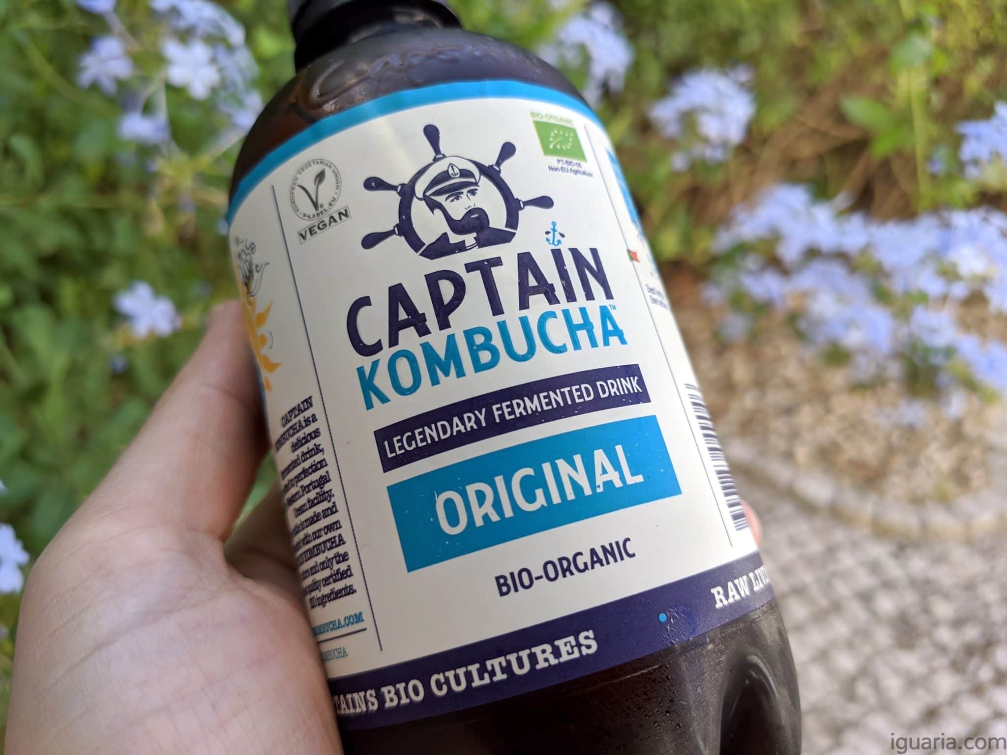 Captain Kombucha • Iguaria! Receita e Culinária