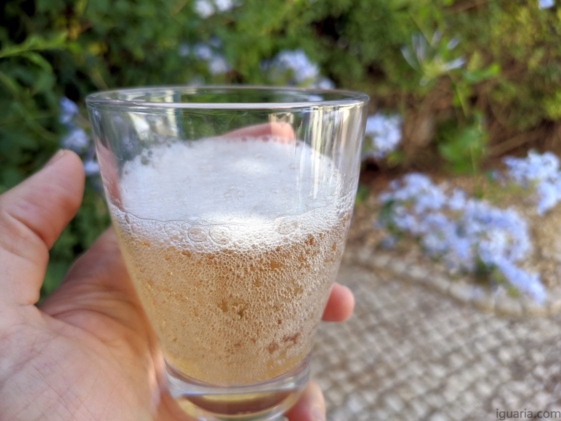 Captain Kombucha • Iguaria Receita e Culinária