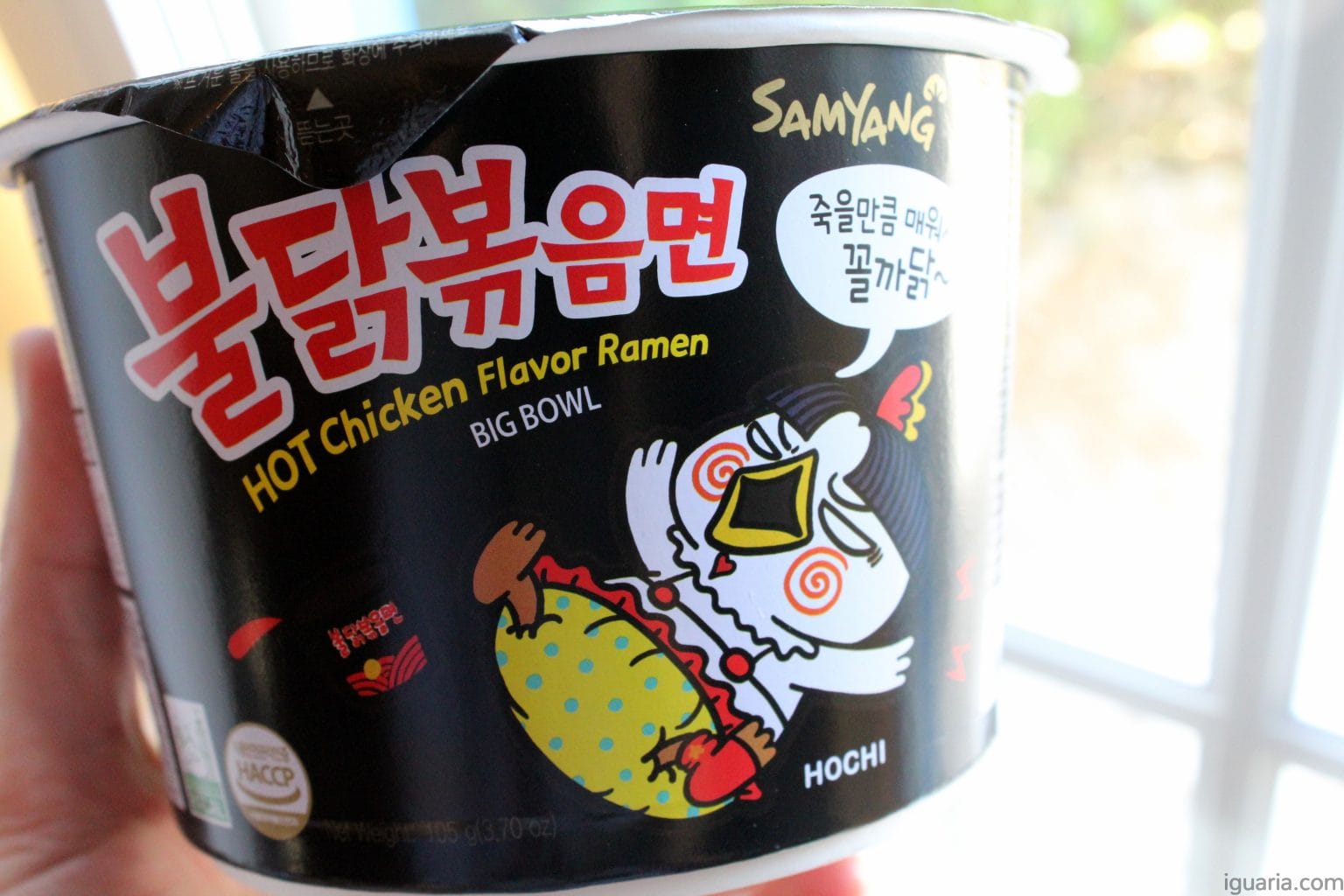 Ramen Coreano Picante com Frango Grelhado • Iguaria Receita e Culinária