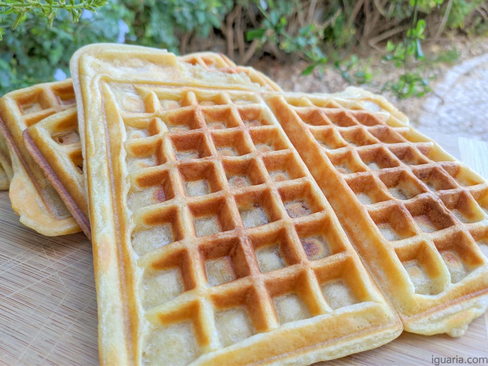 Waffles Americanos • Iguaria! Receita e Culinária