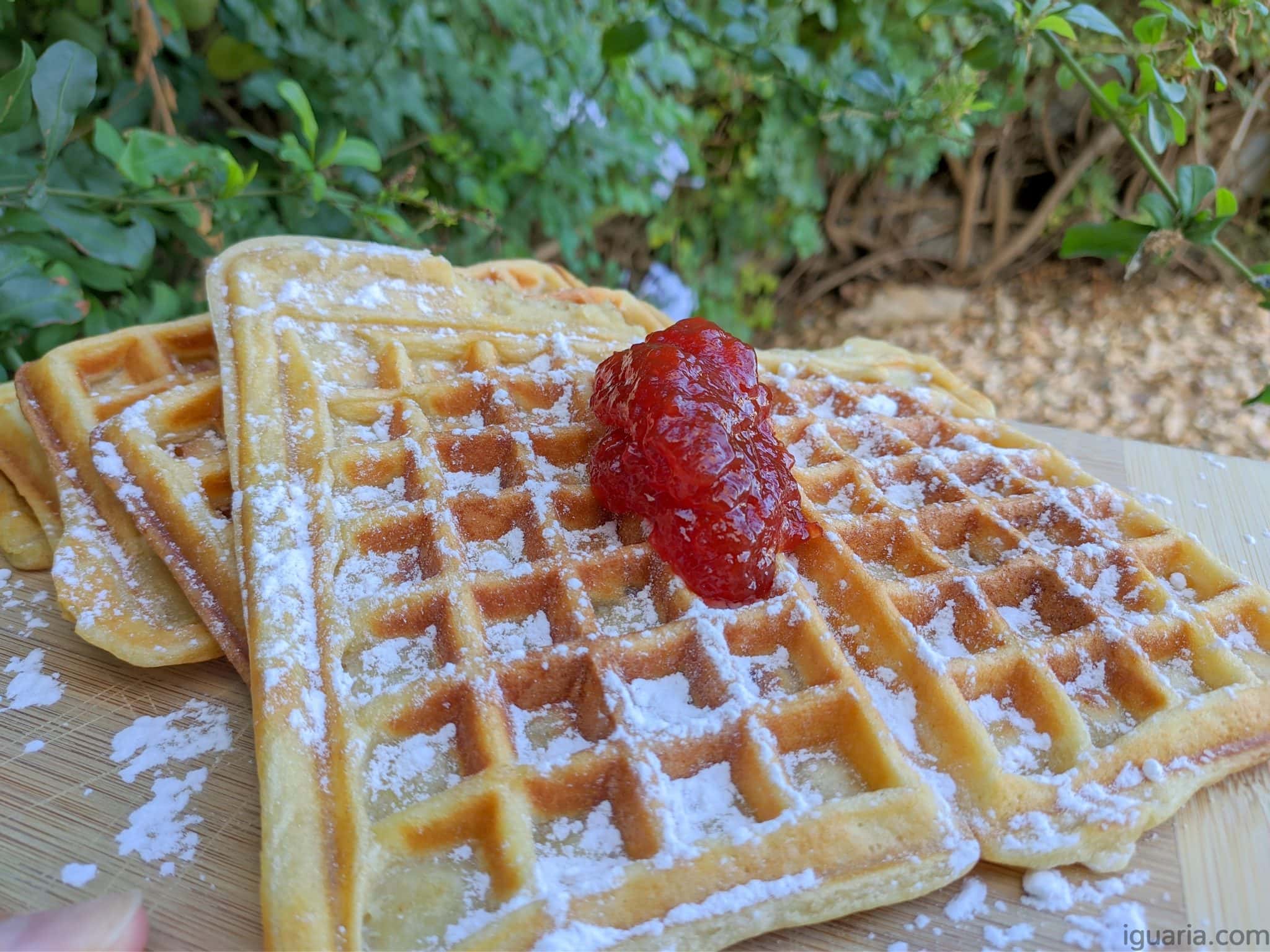 Waffles Americanos • Iguaria! Receita e Culinária