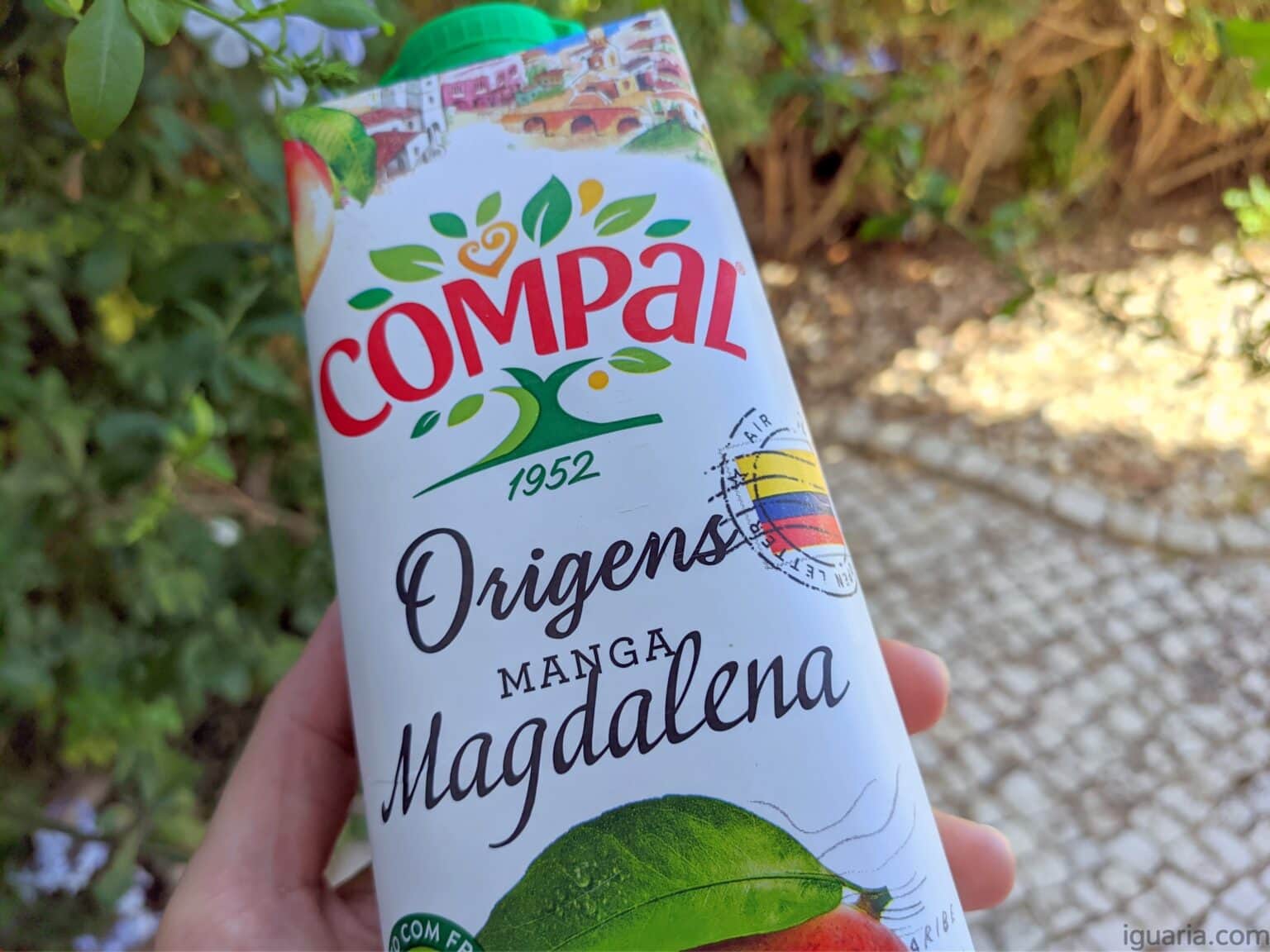 Sumo Compal Manga Magdalena • Iguaria Receita e Culinária