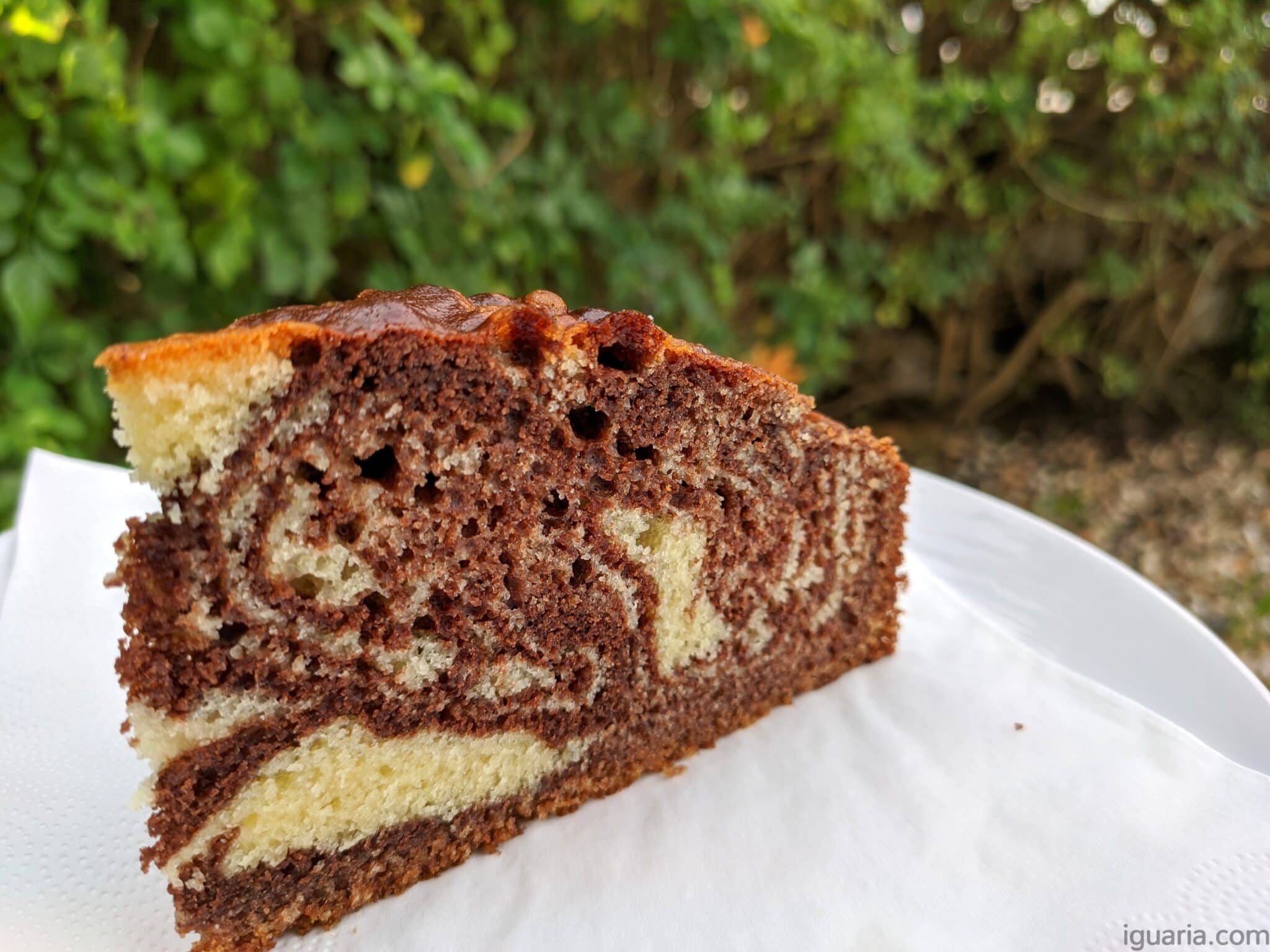 Bolo Zebra • Iguaria Receita e Culinária