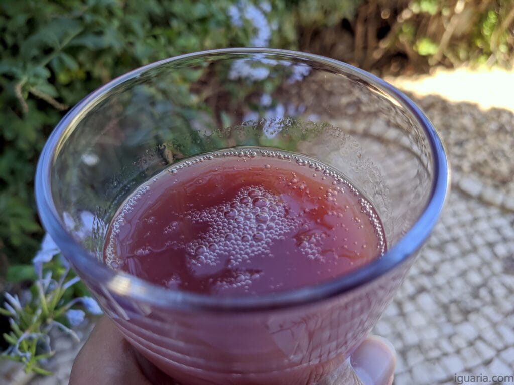 Sumo Compal Origens de Ameixas • Iguaria Receita e Culinária