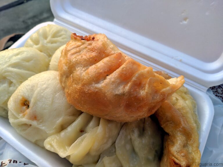 Mandu Bolinhos Recheados Coreanos • Iguaria Receita e Culinária