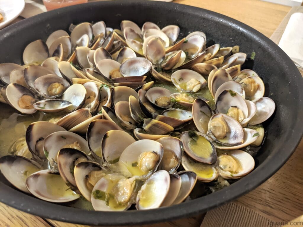 Amêijoas à Bulhão Pato Portuguesas • Iguaria Receita e Culinária