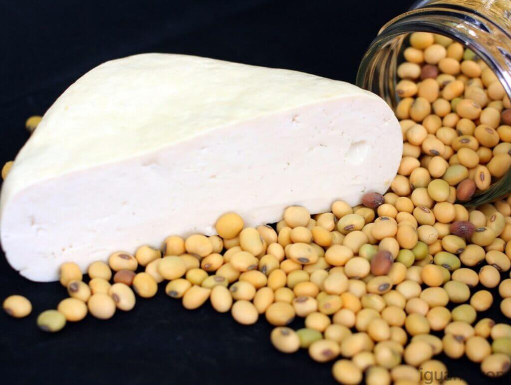 Os 6 Produtos Mais Populares feitos de Soja • Iguaria Receita e Culinária
