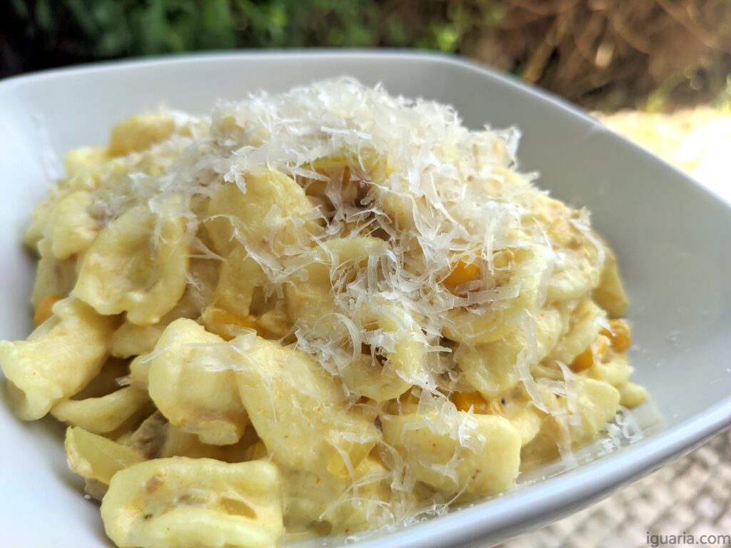 Massa Orecchiette com Atum e Milho • Iguaria Receita e Culinária
