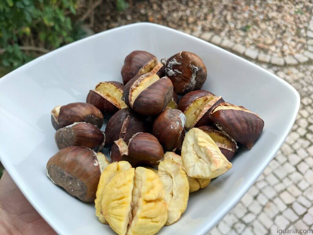 Como Cozinhar Castanhas para o São Martinho • Iguaria Receita e Culinária
