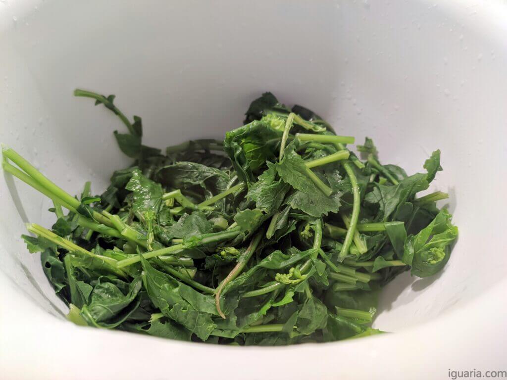 Como Preparar Rama de Nabo • Iguaria Receita e Culinária