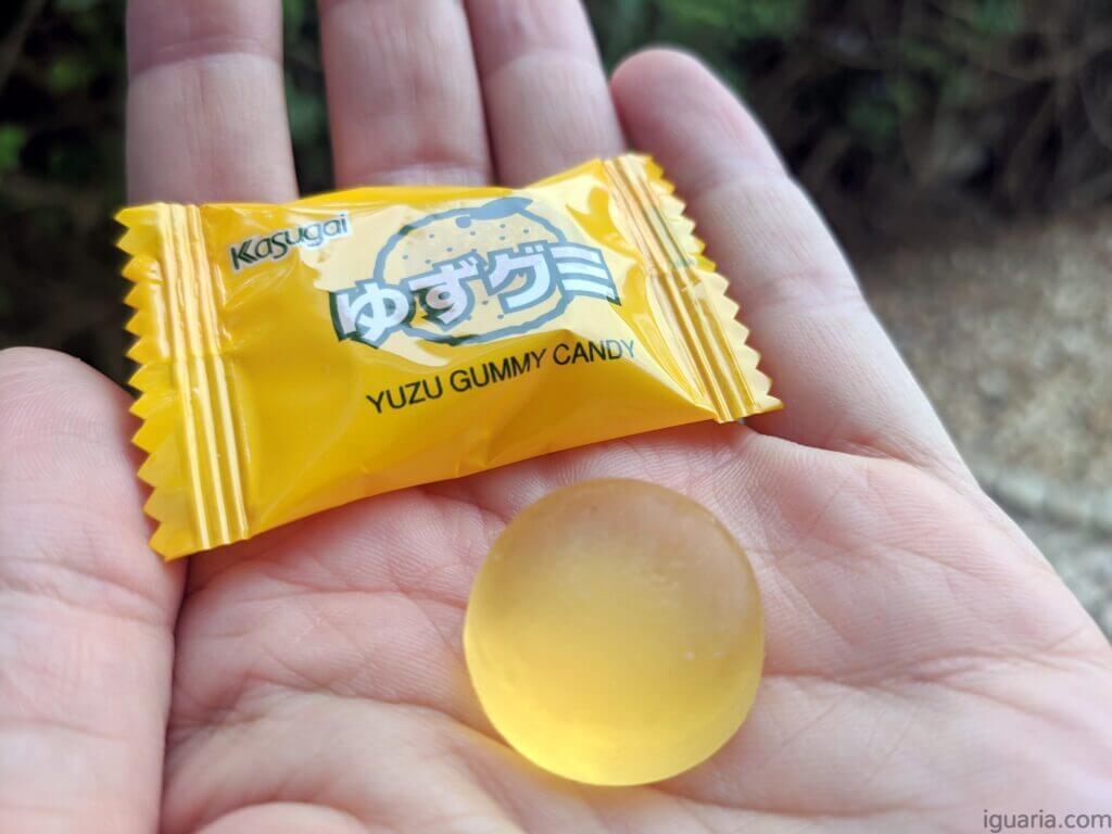 Gomas Frutia de Sumo de Fruta de Líchia, Manga, Morango e Yuzu ...